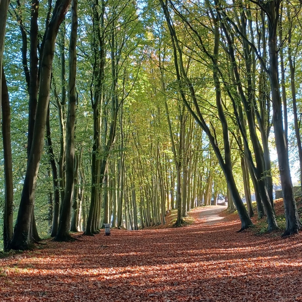 Notre identité – Quilisma